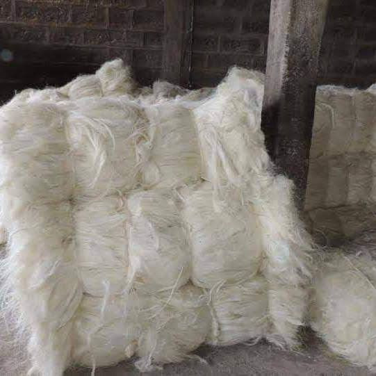 Buy Sisal Fiber from Green cooperative, Cameroon | Tradewheel.com