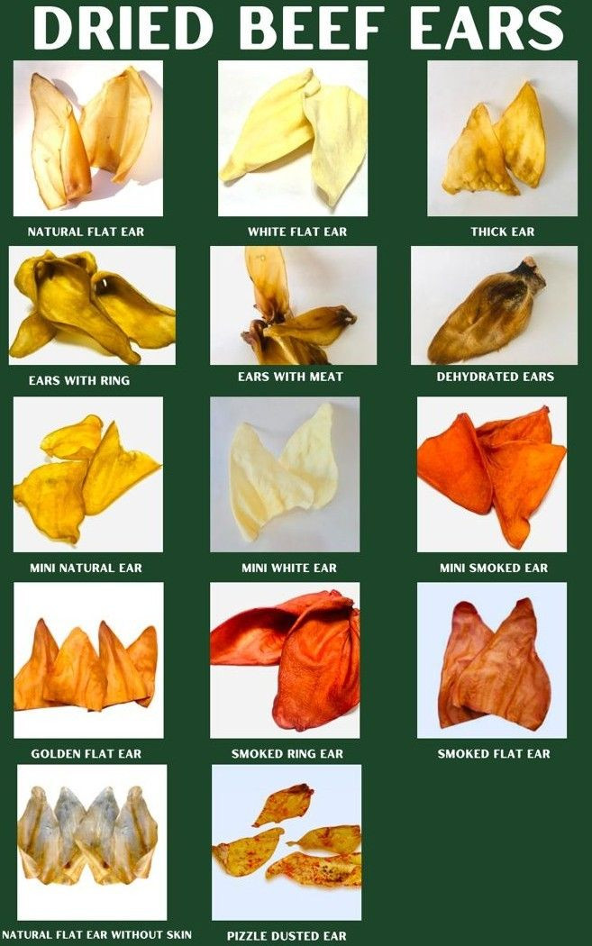 Buy Dried Beef Ears from AUK Exports, India | Tradewheel.com