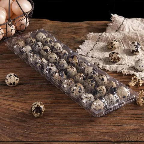 Buy 12 20 30 Holes Disposable Pvc Transparent Quail Egg Tray Packaging ...