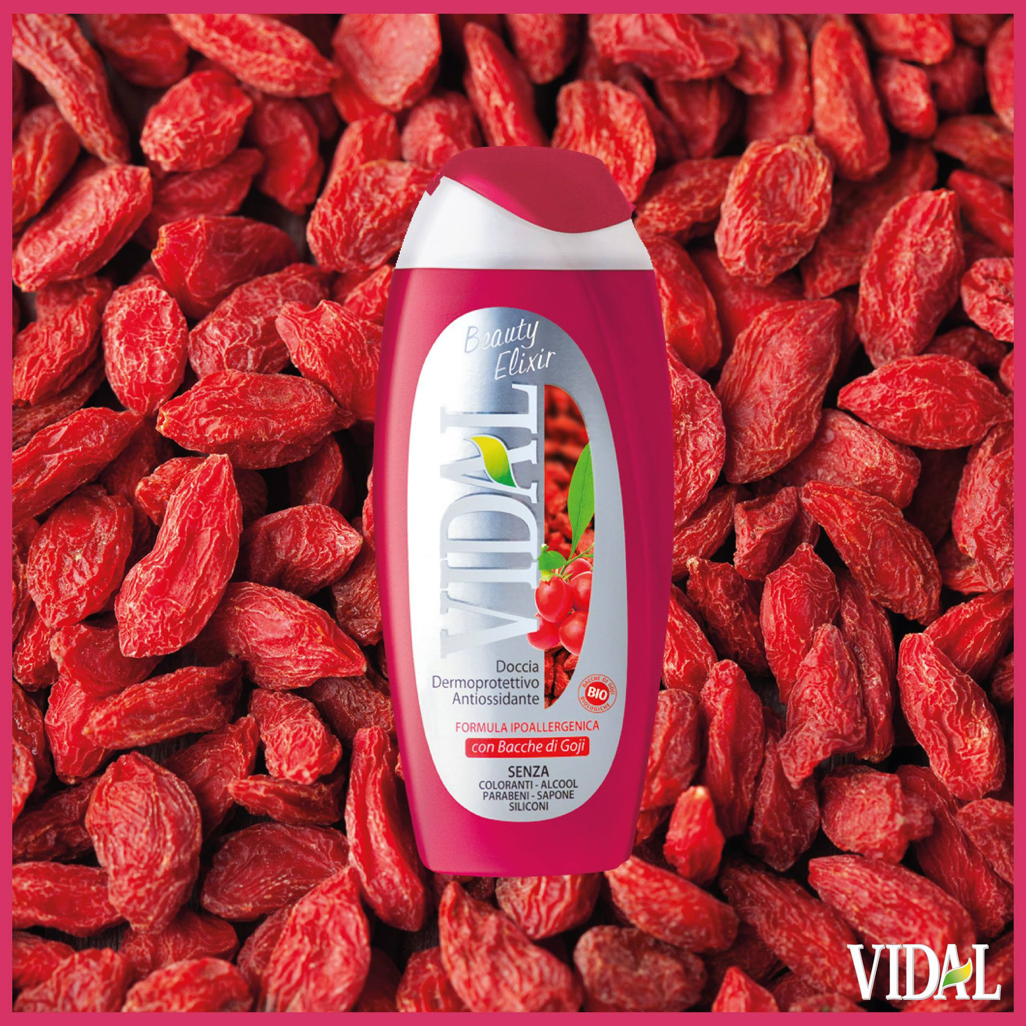 Buy Bath Foam Vidal 250 Ml Cranberry & Goji from GAIA TRADING SRL ...