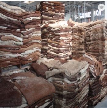 Buy Cow Hides, Cow Head Skin, Leather from MJLOPEZ DIGITAL MARKETING ...