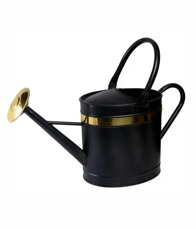 Buy Customized Best Quality Iron Metal Watering Can Water Guns Spray ...