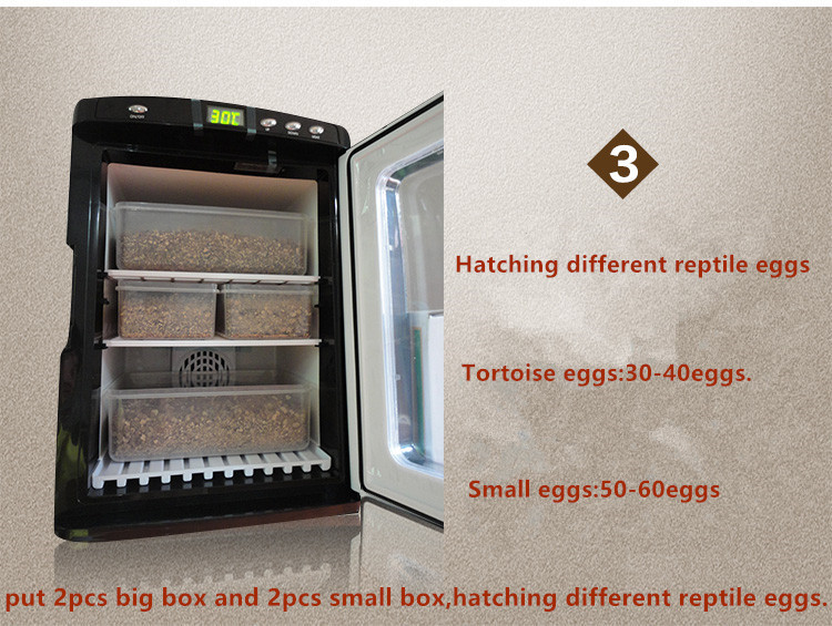 Buy Factory Price Fully Automatic Reptile Egg Incubator 40pcs Tortoise ...