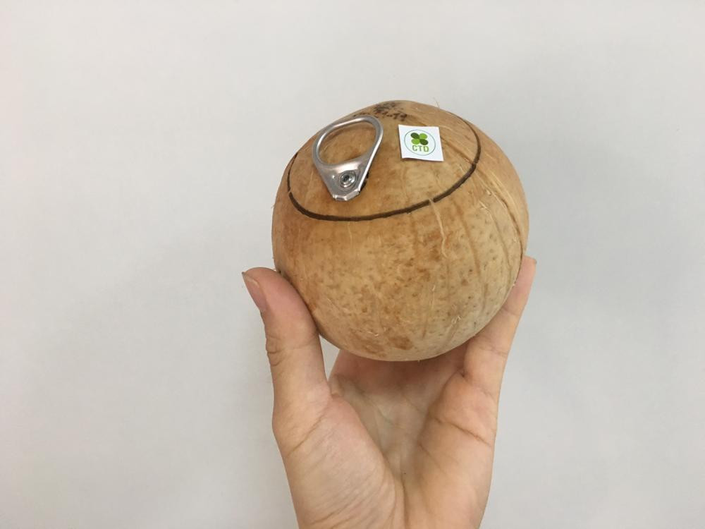 Buy Fresh Coconut Easy Open from CTD INTERNATIONAL COMPANY LIMITED ...