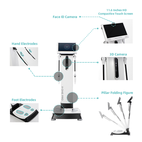 Buy Hot Sale Portable Body Composition Analyzer Body Fat Analyzer from ...
