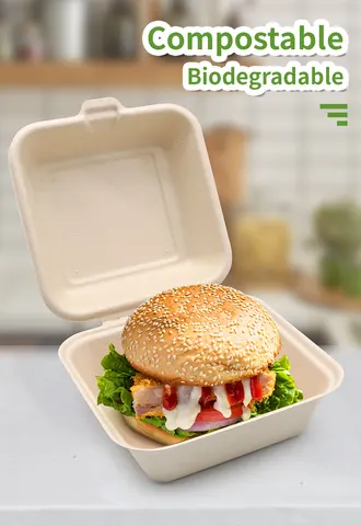 Buy Oasis 450ml 6 Inch Biodegradable & Compostable Sugarcane Bagasse ...