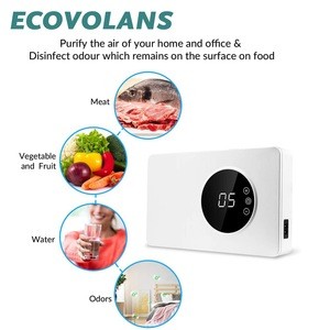 Buy Ozone Generator For Fruit And Vegetables Ozone Food Sterilizer With ...