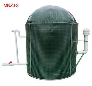 Buy Pvc Biogas Fermentation Digester Mini Home Biogas And Marsh Gas Bag ...