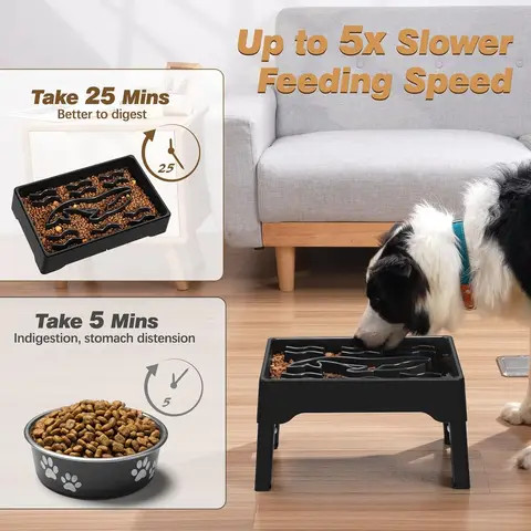 Buy Raised Dog Slow Feeder Bowls Large Breed With 4 Adjustable Heights ...