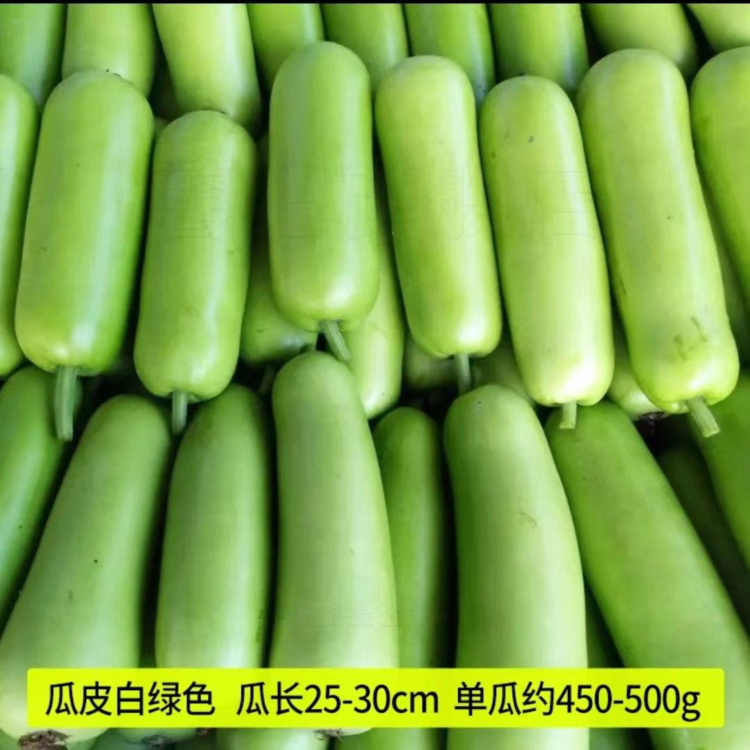 Buy Pugua from Integrated Fruit and Vegetable Free Trade Co., Ltd ...