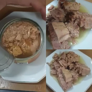 Buy Canned Tuna From Nison Indonesia from PT. NISON INDONESIA ...