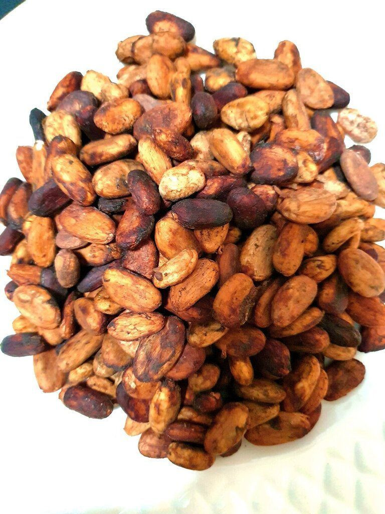 Buy Cacao Beans from TOUG, Qatar | Tradewheel.com