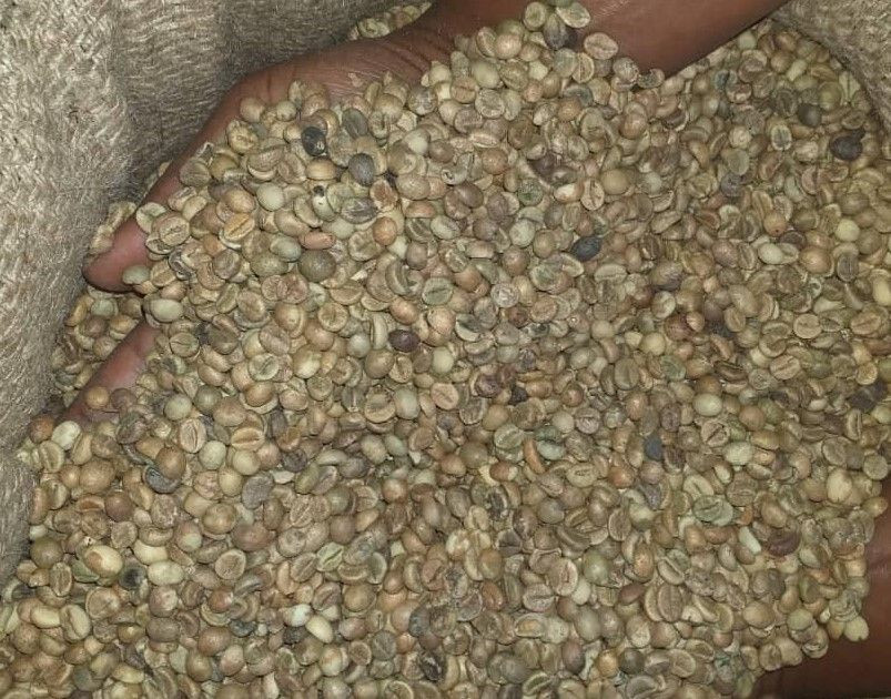 Buy Robusta Coffee Beans from Birmon Trading Group limited, Cameroon ...