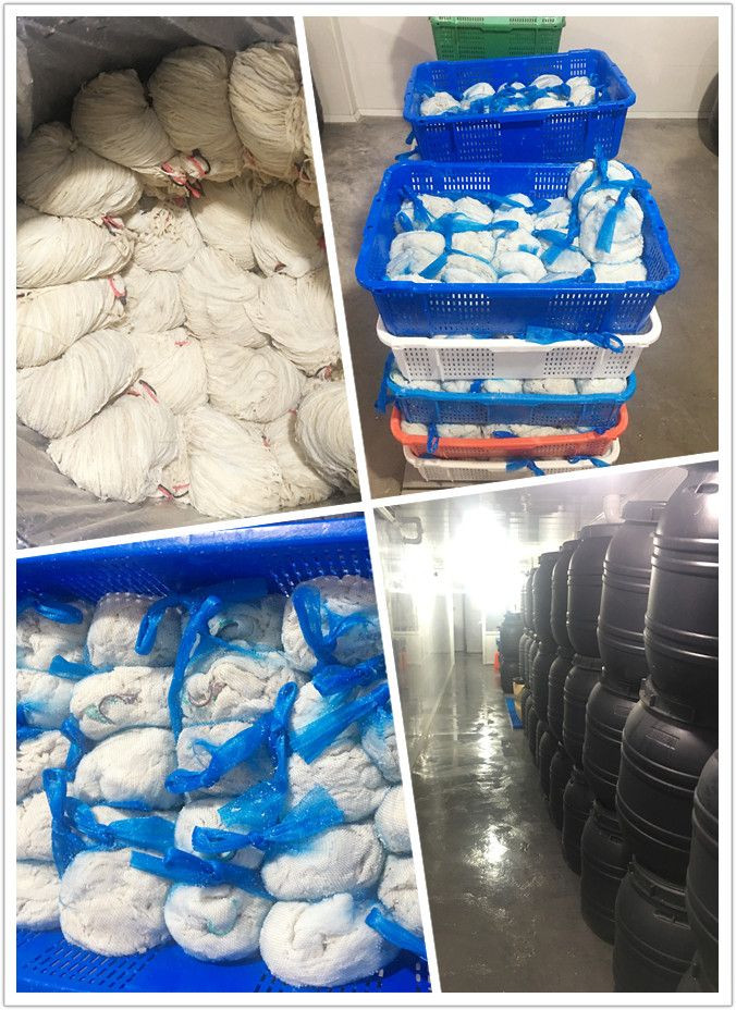 Buy China Natural Halal Salted Sheep Goat Hog Pig Casings from Baoding ...