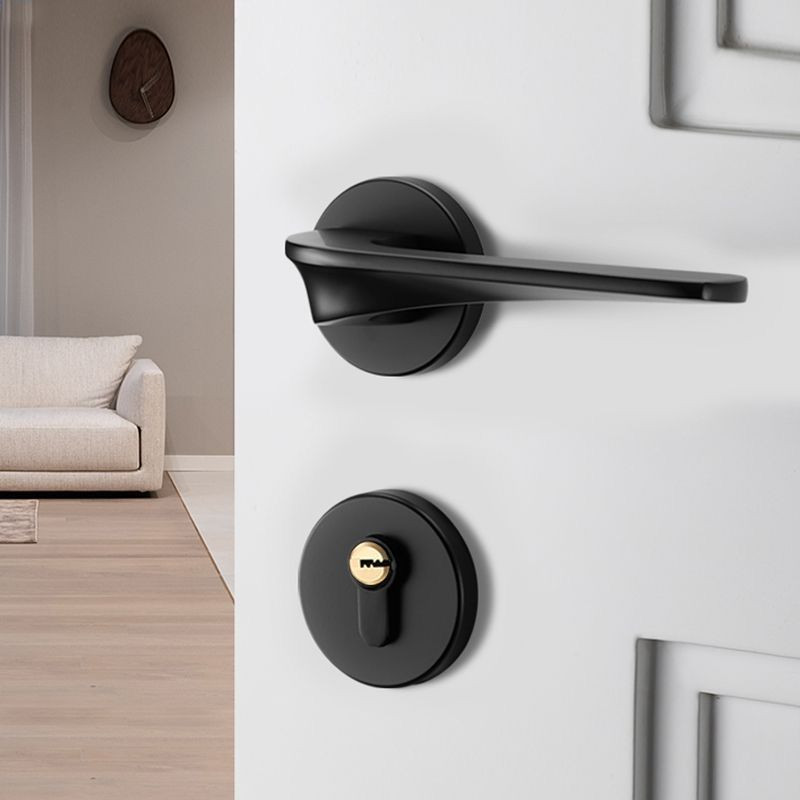 Buy Modern Silent Anti-theft Door Lock Interior Zinc Alloy Handle Split ...
