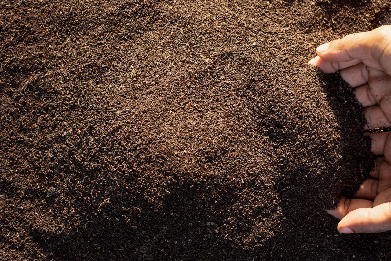 Buy Organic Bio Fertilizer from paritosh global exim, India ...