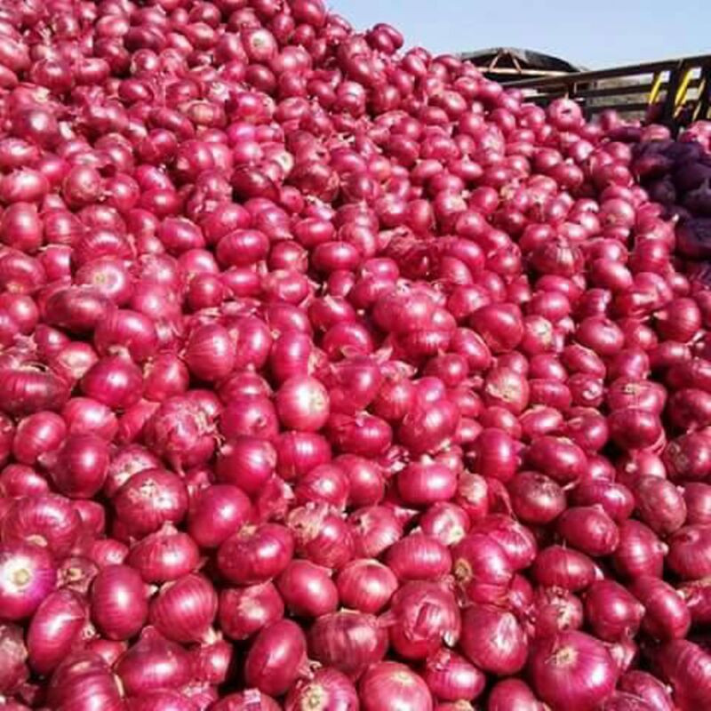 Buy Exportable Round Onion Price Per Ton Wholesale Red Onion China ...