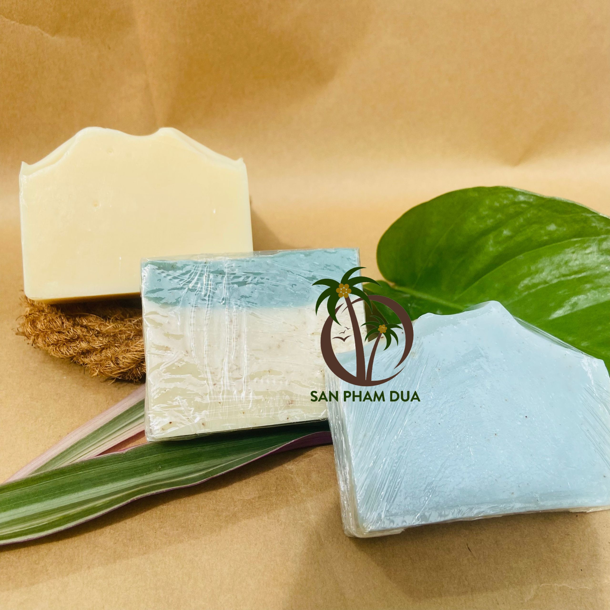 Buy Coconut Soap from CPIMEX CO. LTD, Vietnam | Tradewheel.com