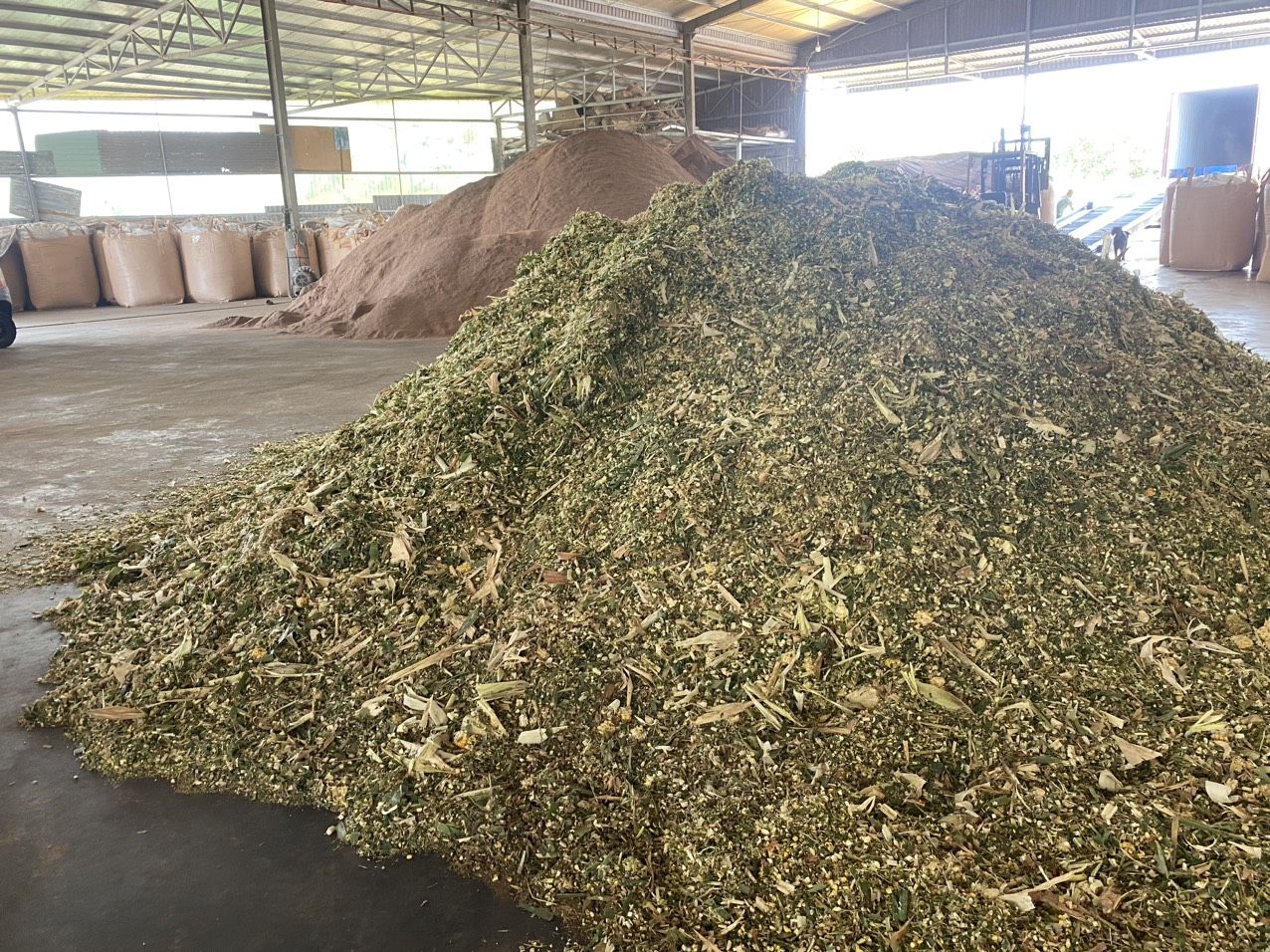 Buy High Protein Corn Silage For Animal Feed In Vietnam from Agfeed ...