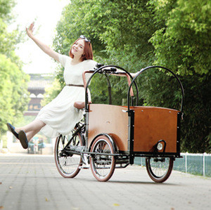 Buy 3 Wheel Bakfiet Electric Cargo Bike Rain Cover Adult Tricycle from ...