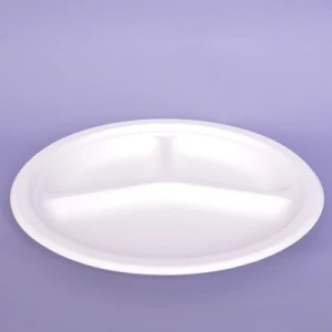 Buy 9"3c Eco-friendly Sugarcane Biodegradable Compostable Disposable ...