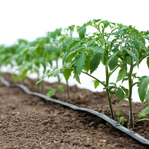 Buy Adjustable Farm System Pressure Compensating Dripper Drip ...