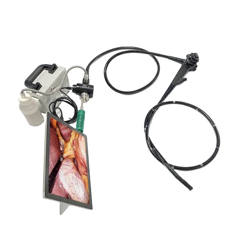 Buy Eur Pet Portable Hospital Video Gastroscope Small Animals Usb Video ...