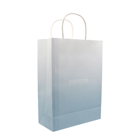 Buy Normal Size Biodegradable Tote Eco Paper Bag Foldable Smart Paper ...