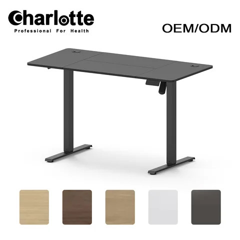 Buy Wholesale Ergonomic Motorized Office Furniture Dual-motor Height ...