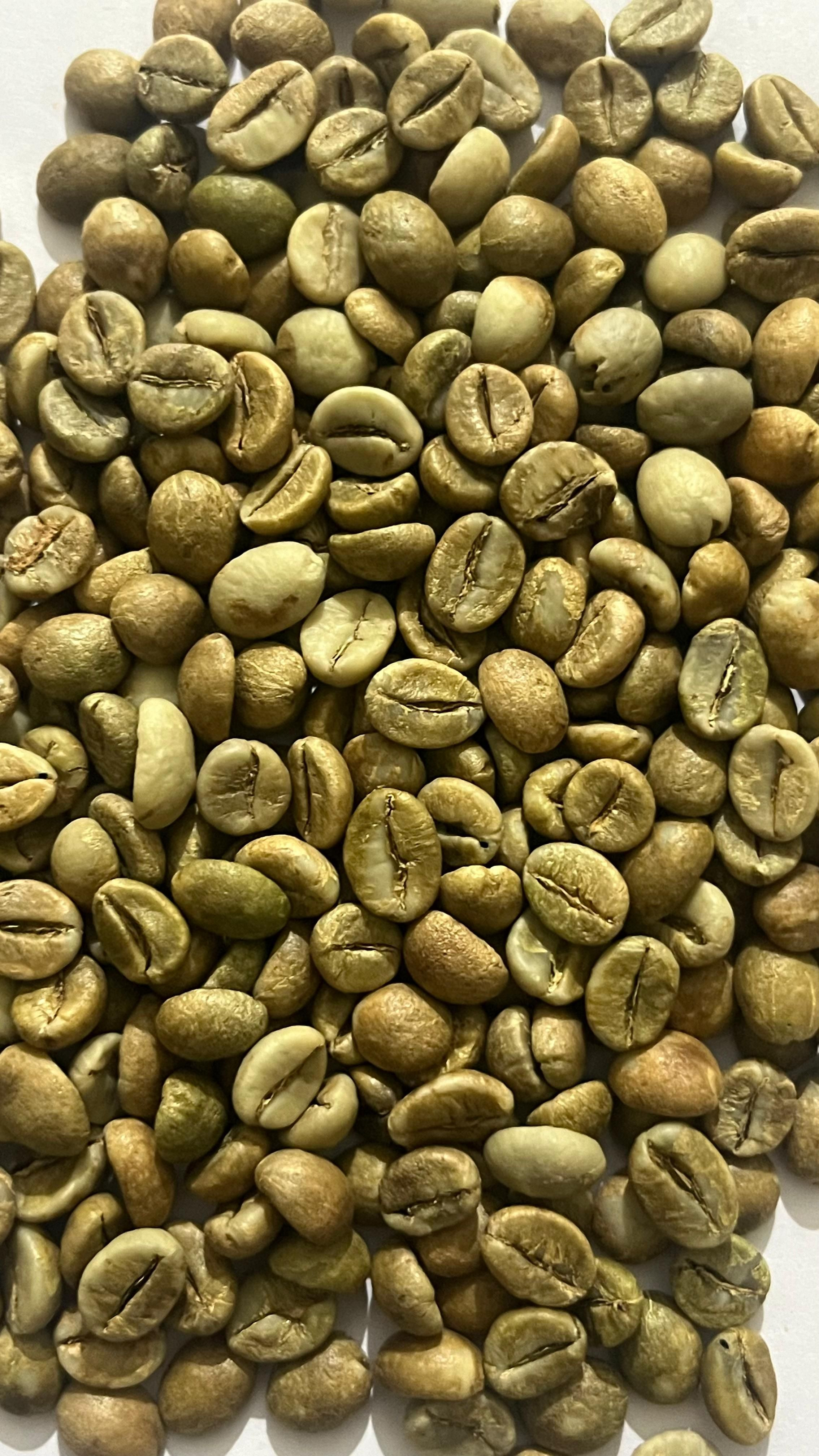 Buy Robusta Cherry Aa from Leelaprasad International Traders, India ...