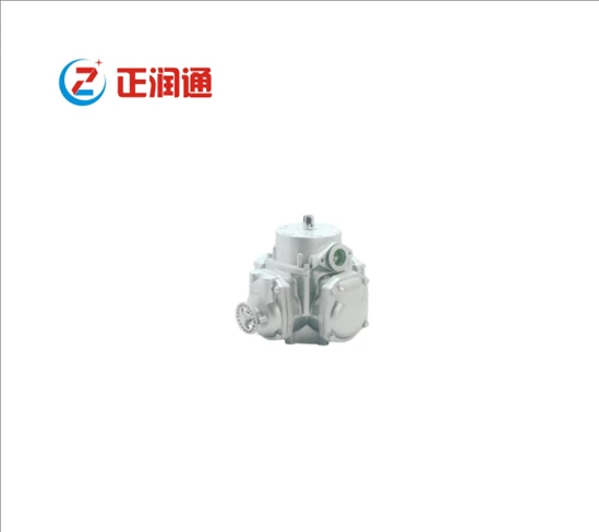 Buy Rsj-50 Flow Meter from Xingtai Zhengruntong Technology Development ...