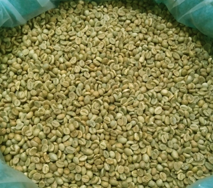 Buy Robusta Coffee Beans / Polished Robusta Green Coffee Beans from ...