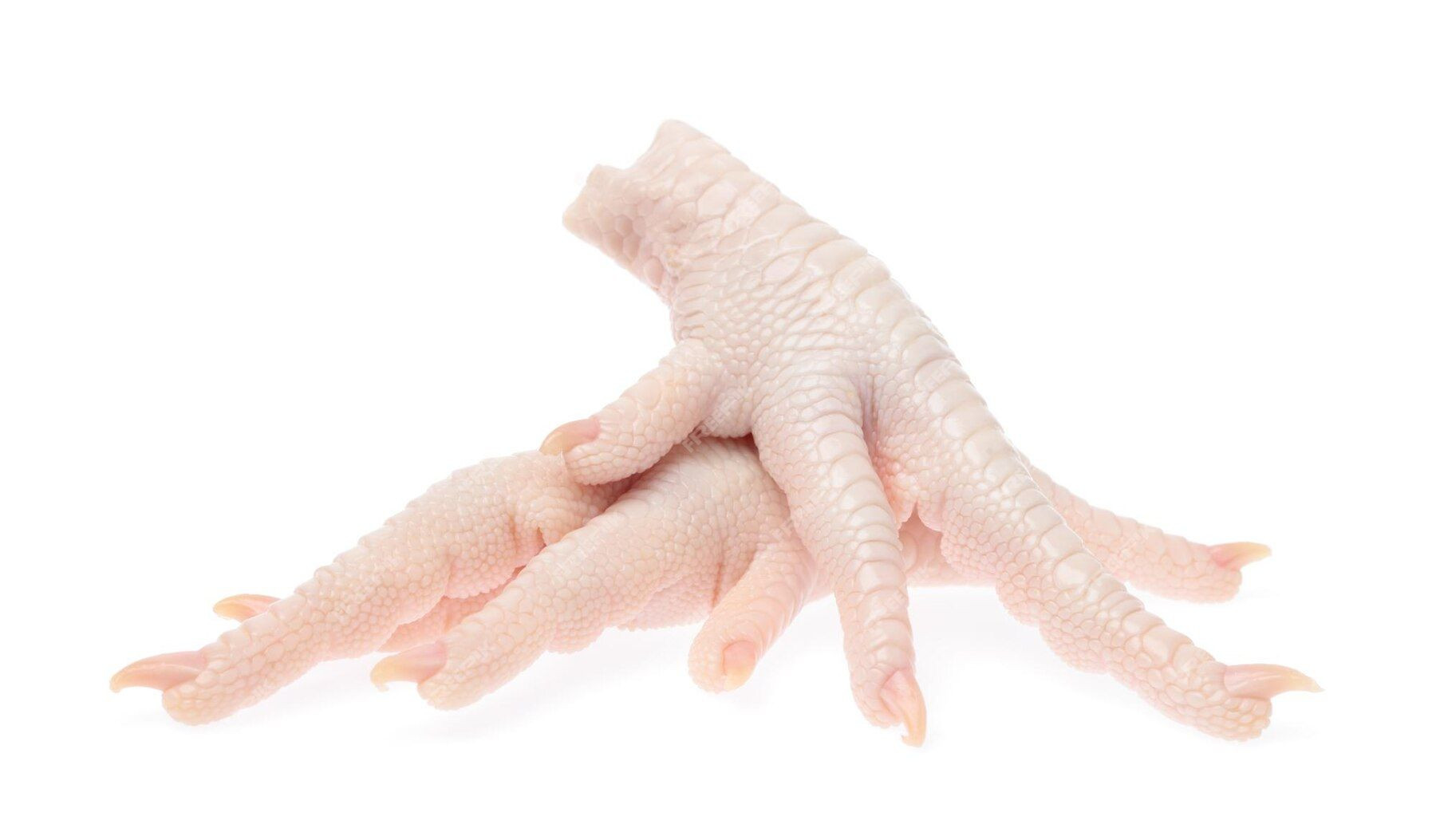 Buy Frozen Chicken Paw | A Grade +35 G | Gacc | Halal from MetWiser ...
