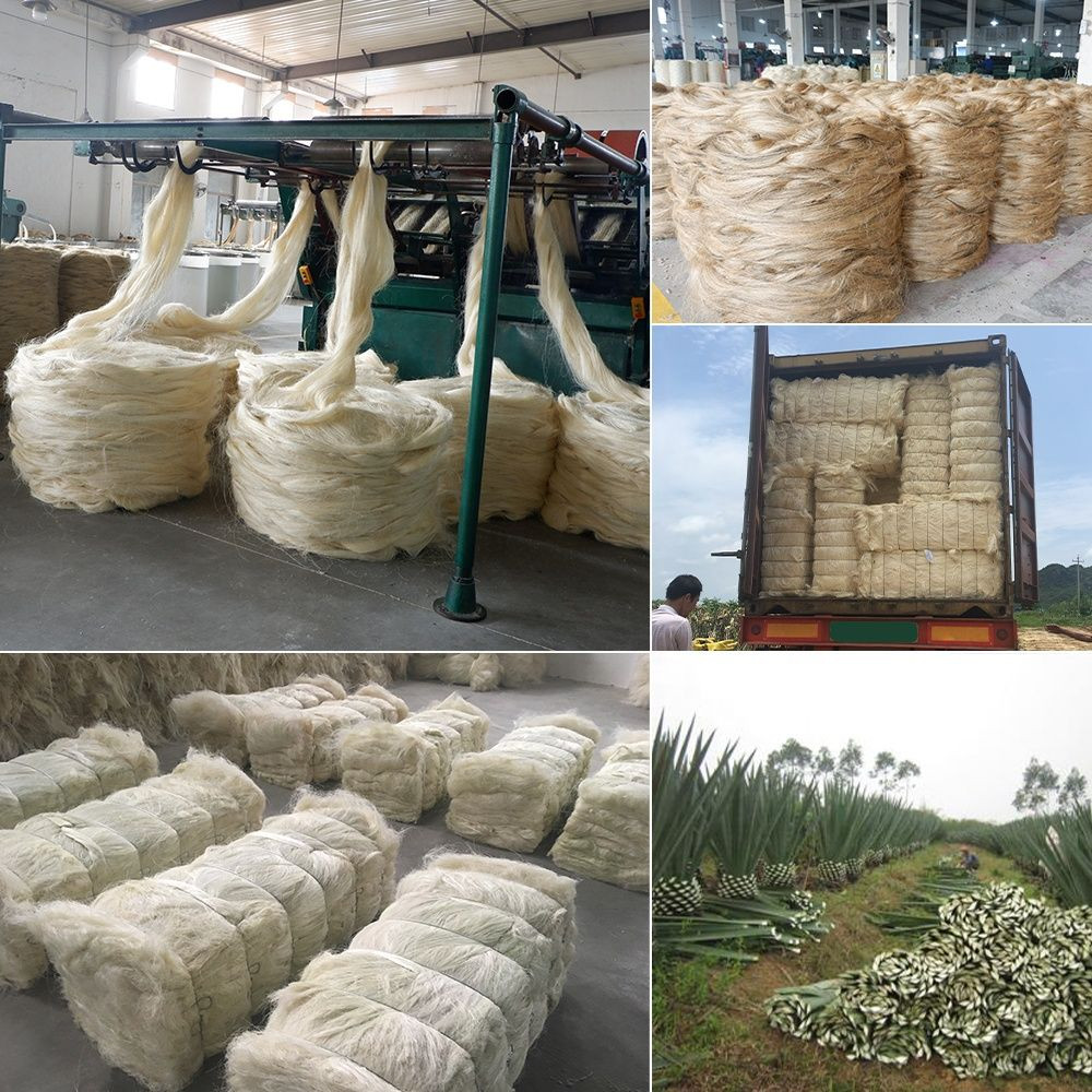 Buy Sisal Fiber Bleached White 100% Natural / Quality Sisal Fibre / Raw ...