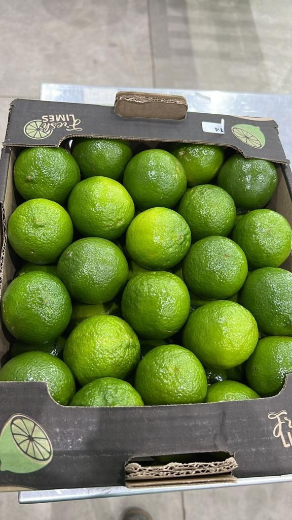 Buy Fresh Limes from AVM Fresh Fruits, Brazil | Tradewheel.com