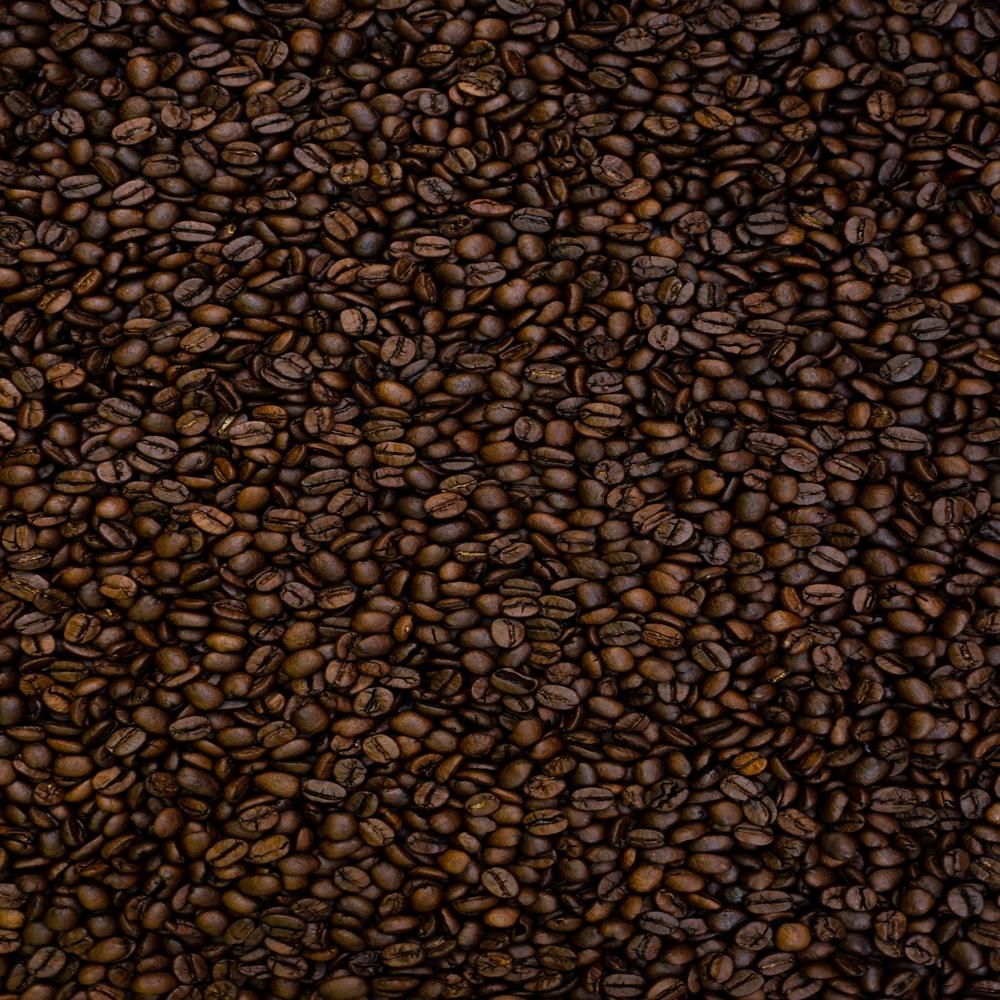 Buy High-quality Robusta Coffee Beans – India, Brazil, Vietnam & Uganda ...