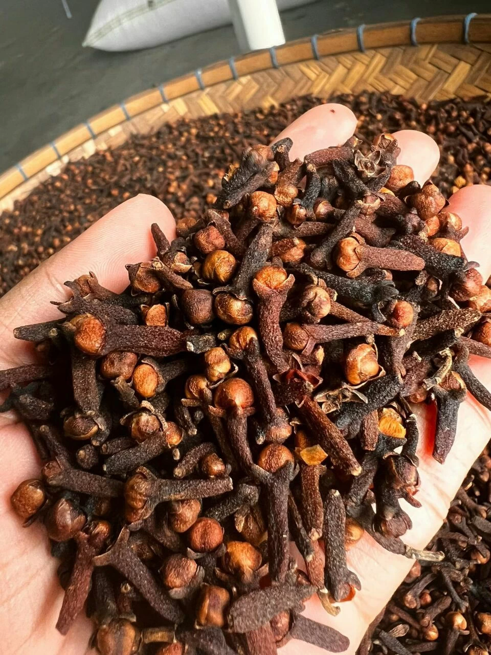 Buy Cloves from PT. Lusaa Export & Import, Indonesia | Tradewheel.com