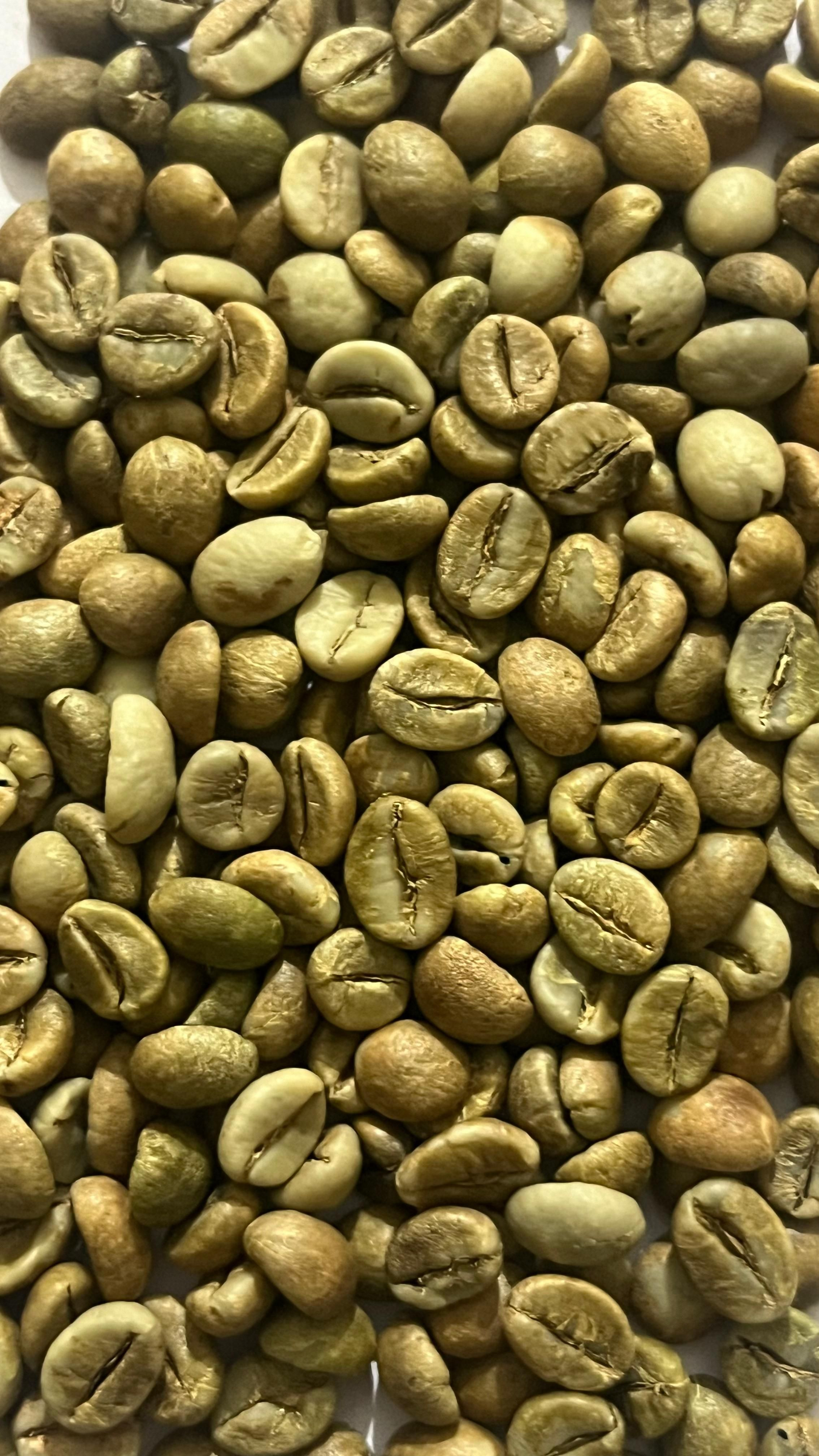 Buy Robusta Cherry Aa from Leelaprasad International Traders, India ...