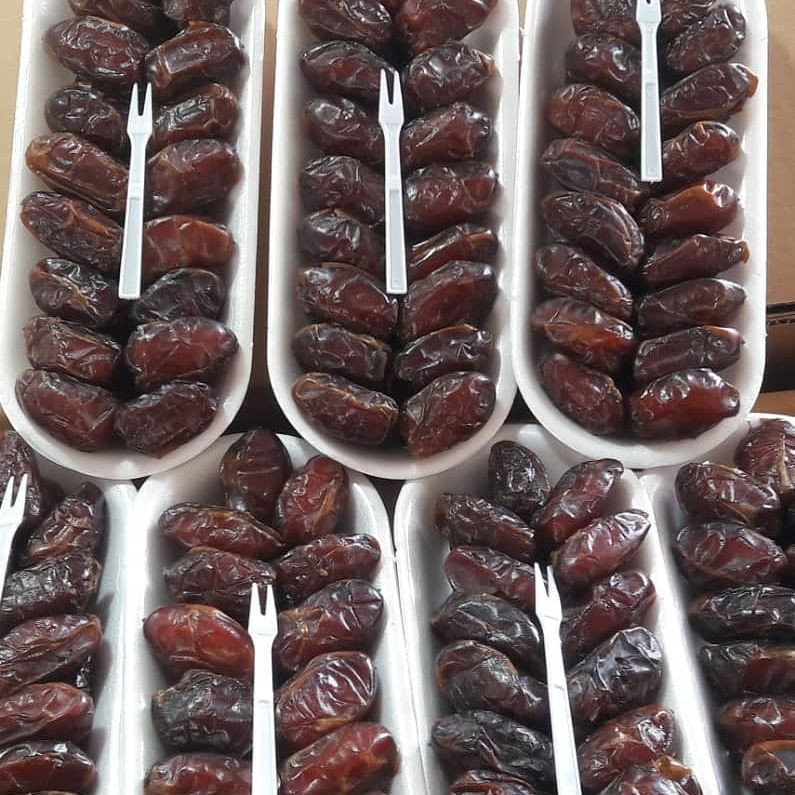 Buy Dates from ASP TRADING COMPANY, Iran | Tradewheel.com