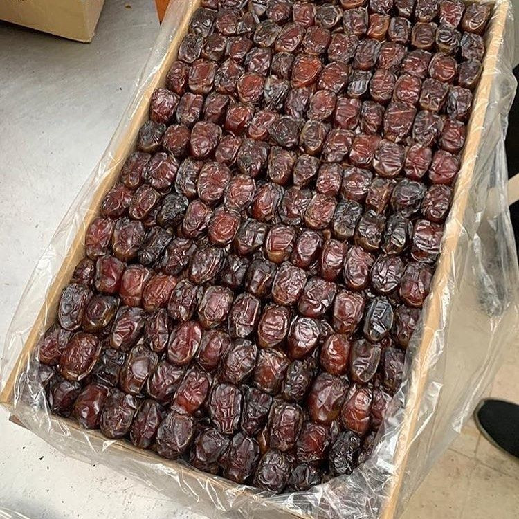 Buy Dates from ASP TRADING COMPANY, Iran | Tradewheel.com