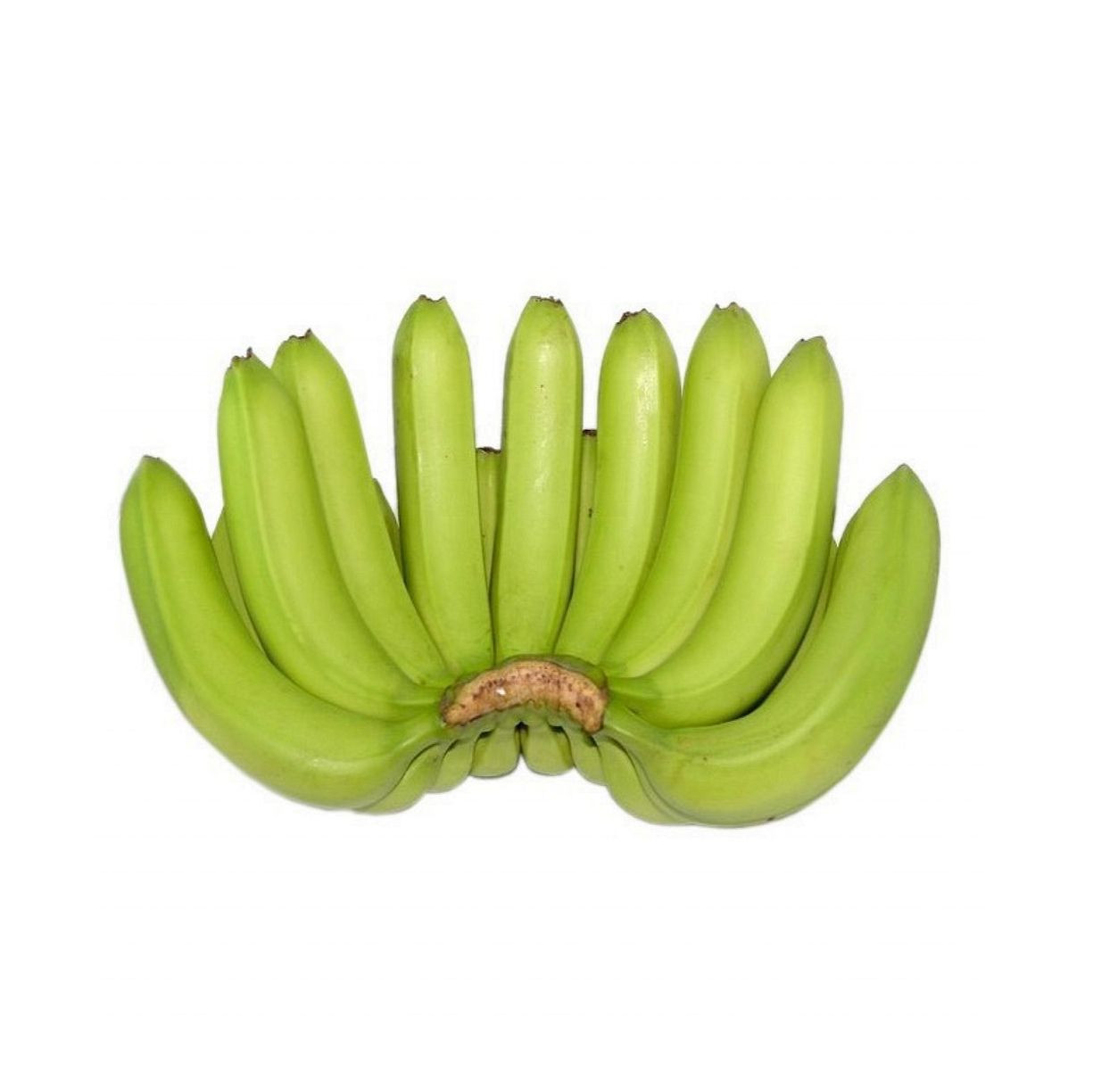 Buy Premium Quality Green Bananas For Export from Afrivet Trading ...