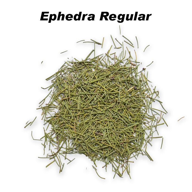 Buy Ephedra Herb from Green World Industries, Pakistan | Tradewheel.com