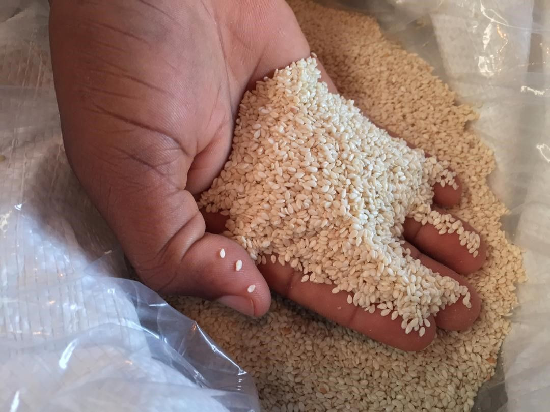 Buy Natural Sesame Seeds from Daltam Warehouse Company Limited ...