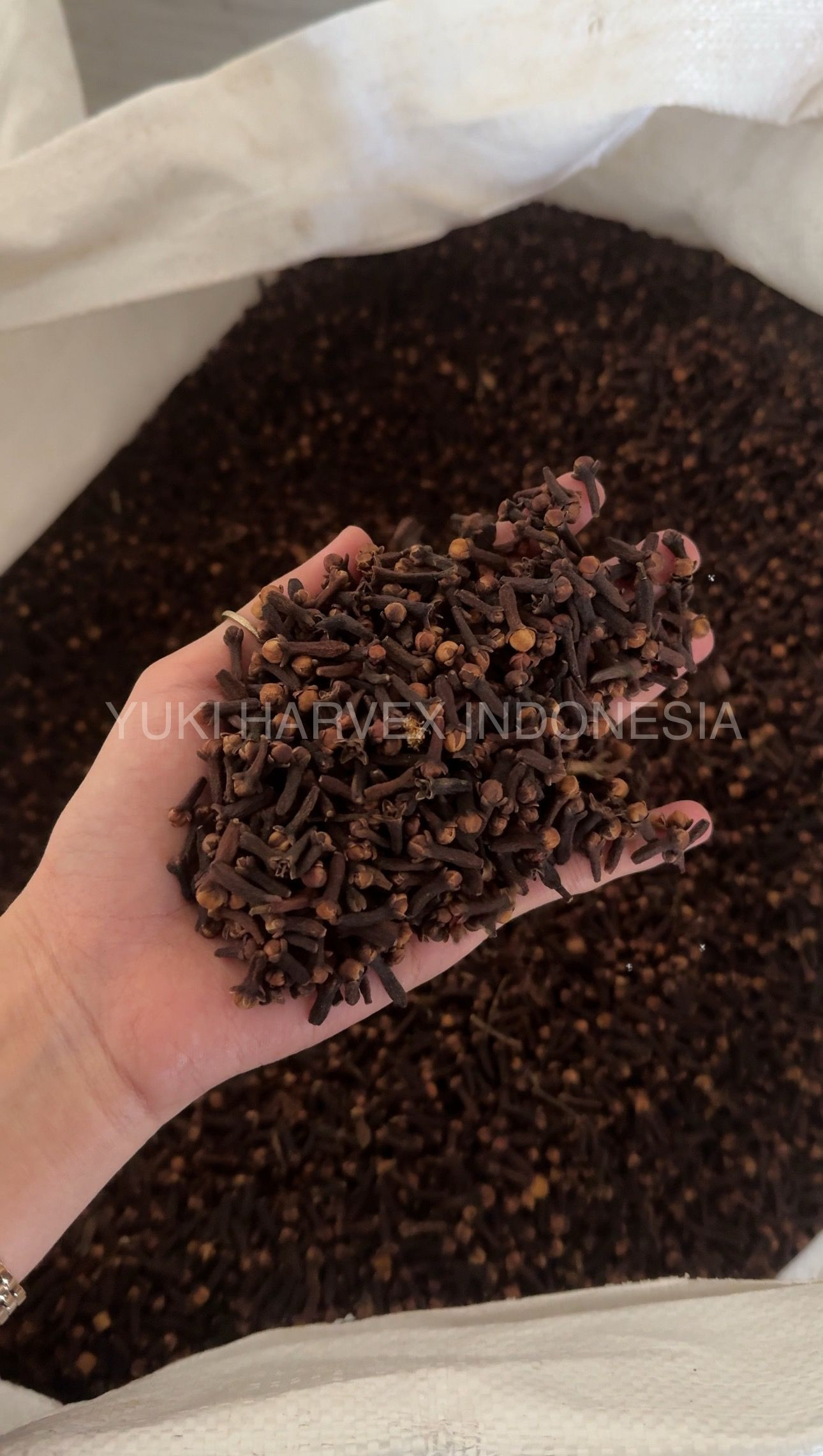 Buy Indonesian Cloves from YUKI HARVEX INDONESIA, Indonesia ...