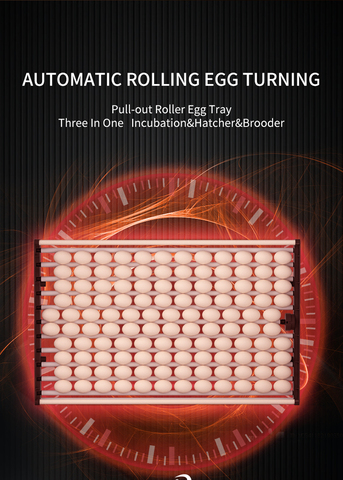 Buy 2021 Newest Design Automatic Rolling Egg Hatching Machine 1000 ...