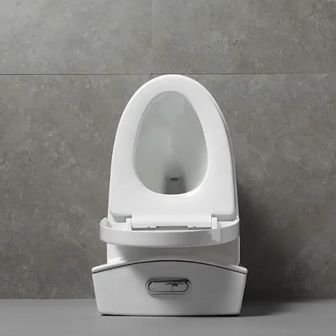 Buy American Style Ada Bathroom Floor Mounted Ceramic Siphonic Water ...