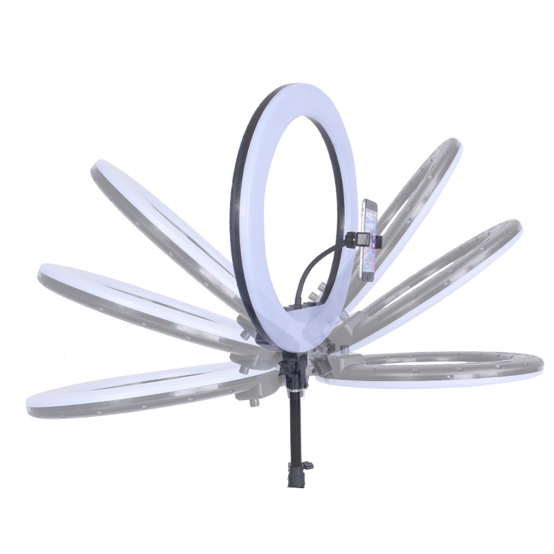 Buy Big Ring Light 46cm Outer Diameter 18inch Low Price With Remote ...