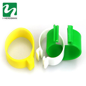 Buy Chicken Poultry Plastic Clip-on Leg Bands, Leg Straps from ...