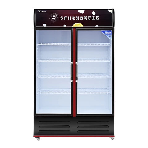 Buy Display Upright Freezer Commercial Single-temperature Refrigerated ...