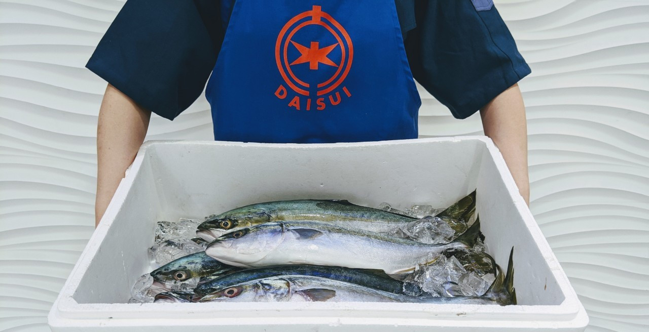 Buy Frozen Yellowtail Wr 1000-2000g (origin Japan) from Daisui Co.,LTD ...